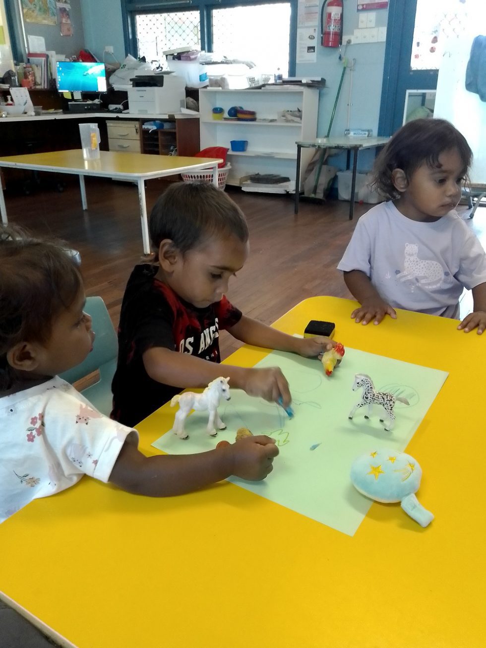 Gallery - Ngunga Group Womens Aboriginal Corporation
